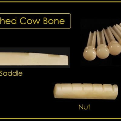 AxeMasters Unbleached Bone NUT, SADDLE and PINS Set handmade | Reverb