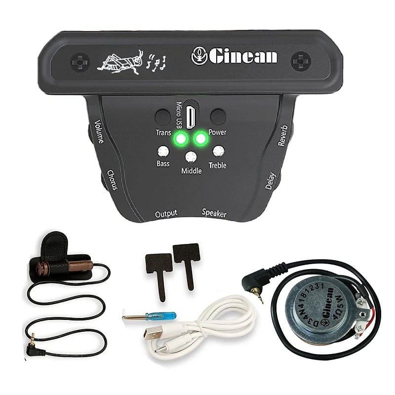 Ginean JS-APE301 Acoustic Guitar Resonance Pickup built-in | Reverb