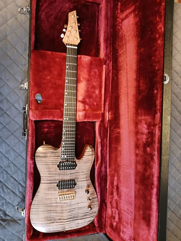 Cact-Eye Guitars Custom 7 String Guitar | Reverb
