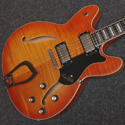 Rare Schecter TSH-1 Tempest Semi-Hollow - early 2000s - Trans | Reverb