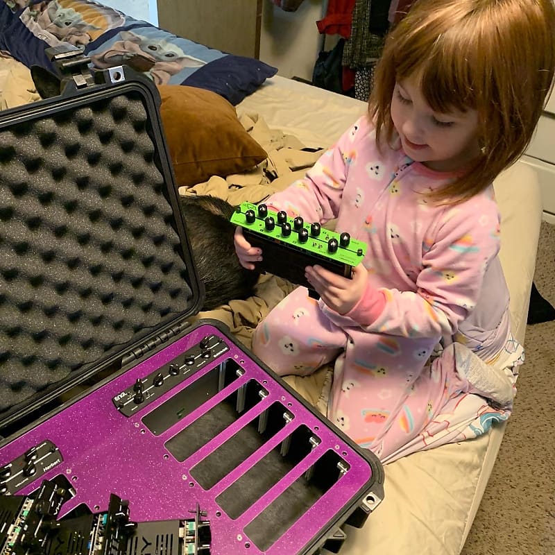 Burns Omega Model 12 Slot Case, Translucent Purple Sparkle, | Reverb