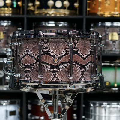 Pearl Signature Series - Vinnie Paul Snakeskin Snare Drum - | Reverb