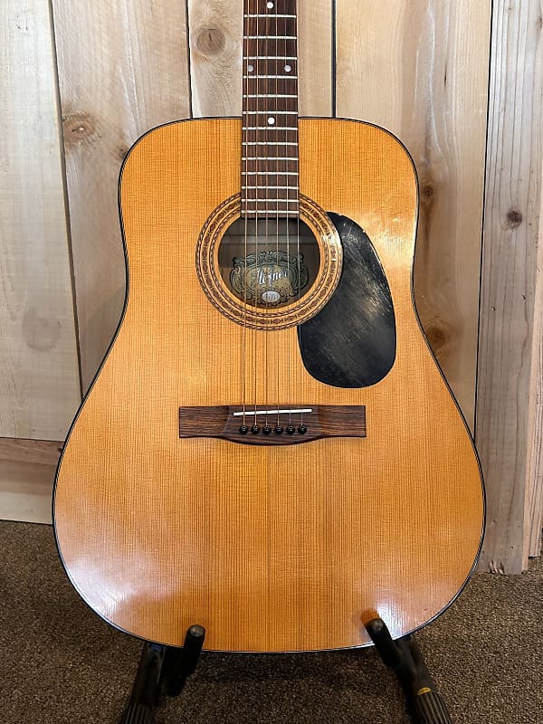 Hofner Acoustic Guitar 1977 w/Hardcase | Reverb