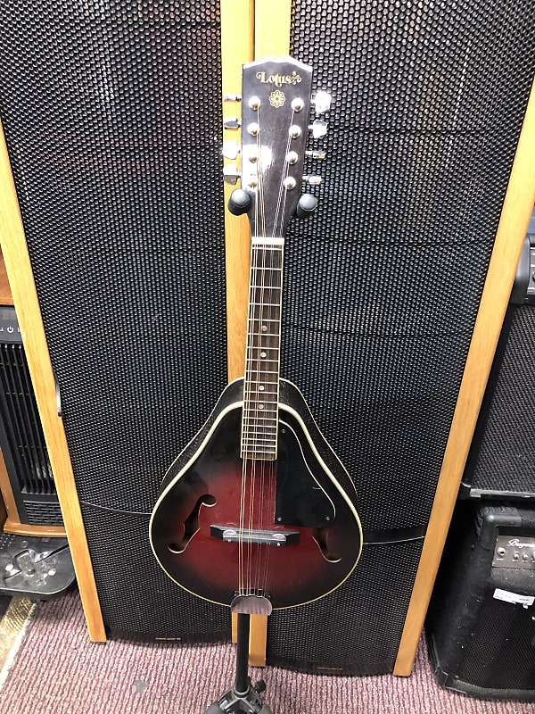 Lotus LM-20 8-String Folk Mandolin | Reverb