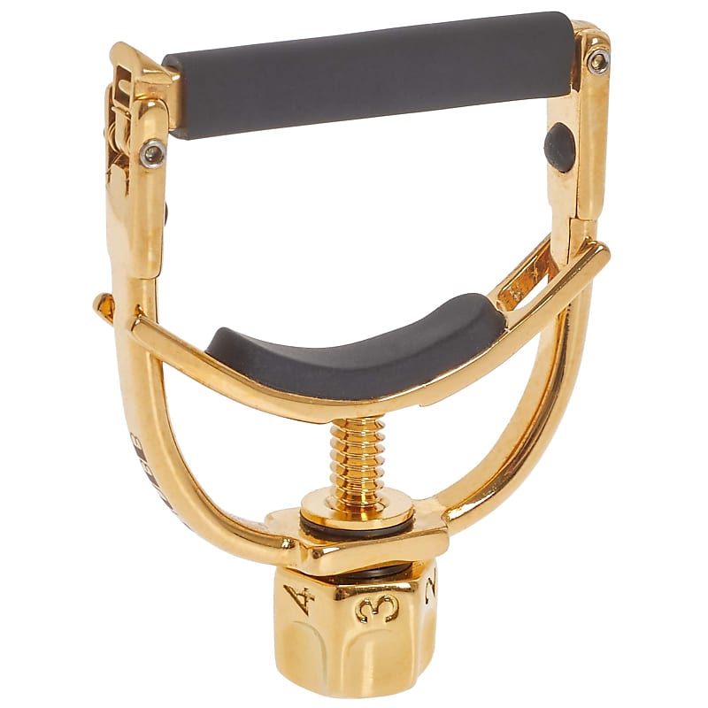 Shubb F5G FineTune Capo Royale for Banjos, Gold | Reverb