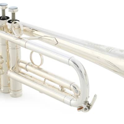 BAC Musical Instruments Handcraft Series Paseo Professional | Reverb