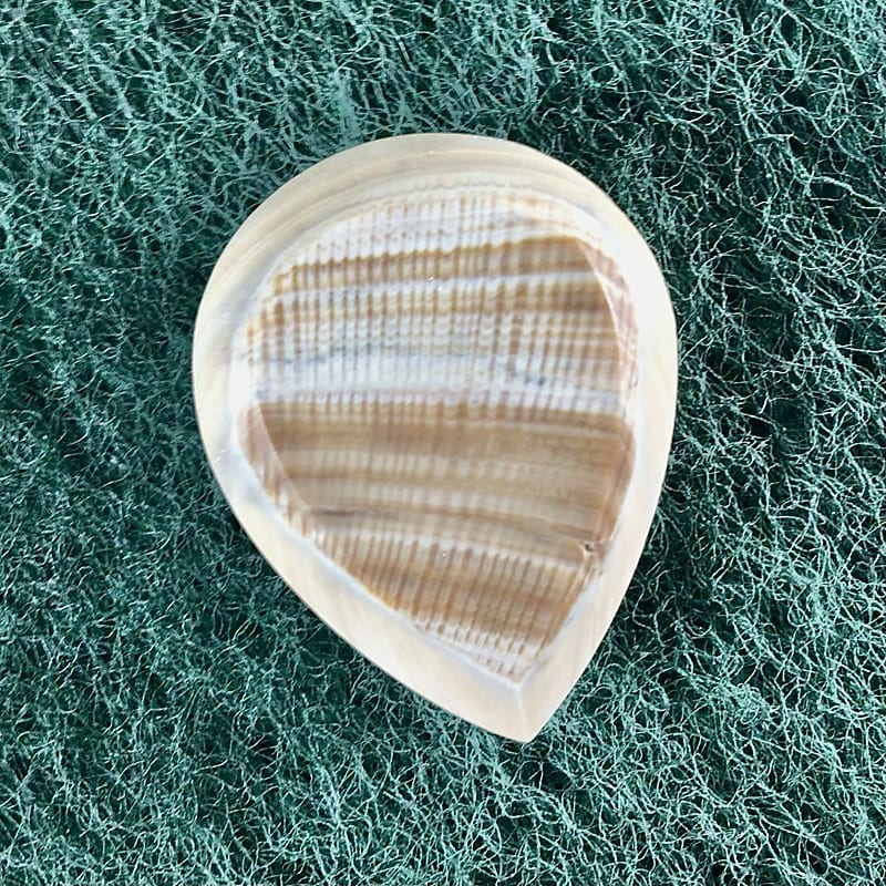 Seashell guitar pick/8.0mm thick, teardrop profile… by | Reverb