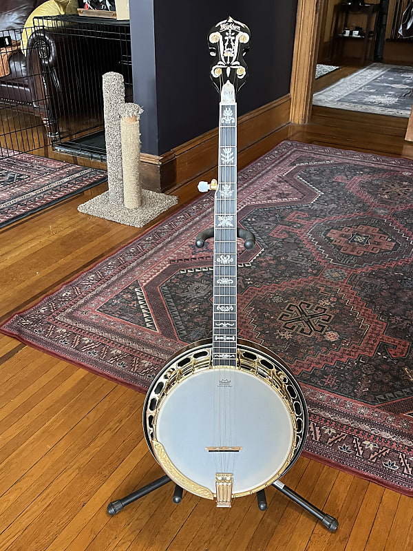Washburn 5-String Banjo b-17 2020 | Reverb