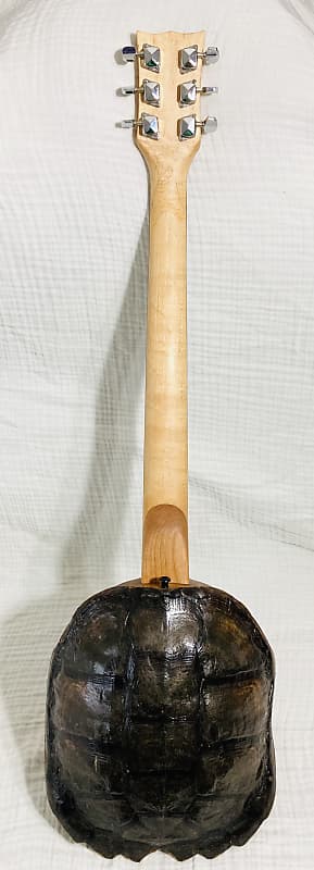 Turtle shell electric guitar- Monkey pod top | Reverb