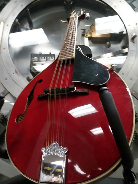 Greg Bennett Mandolin | Reverb