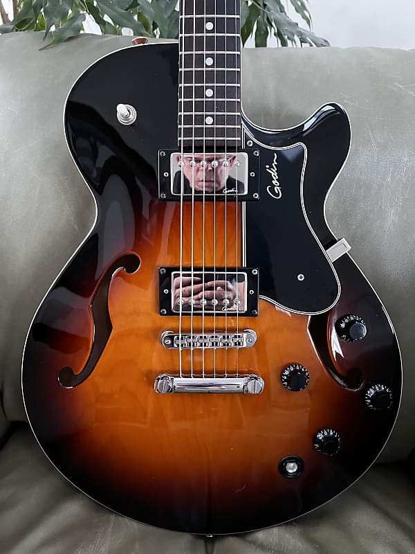 Godin Montreal Premier Triple Play /Godin TRIC Case/Fishman | Reverb