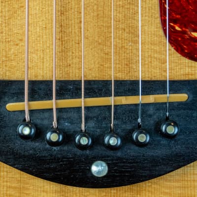 Rare Taylor DCSM 1996 -Dan Crary Signature Model | Reverb