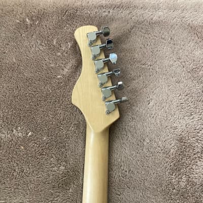 Cryptical Envelopment Carved 2024 Woodruff Custom - DiMarzio, | Reverb