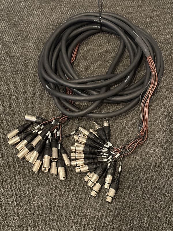 Redco TGS-16 30' 16 Channel XLR to XLR - Used only once - | Reverb
