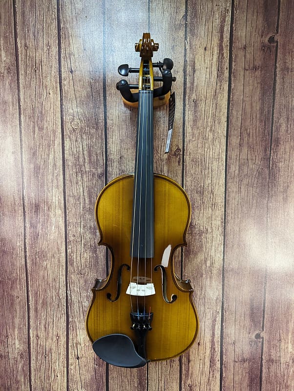 Stagg Violin 4/4 Size Violin Package - VN-4/4 EF | Reverb