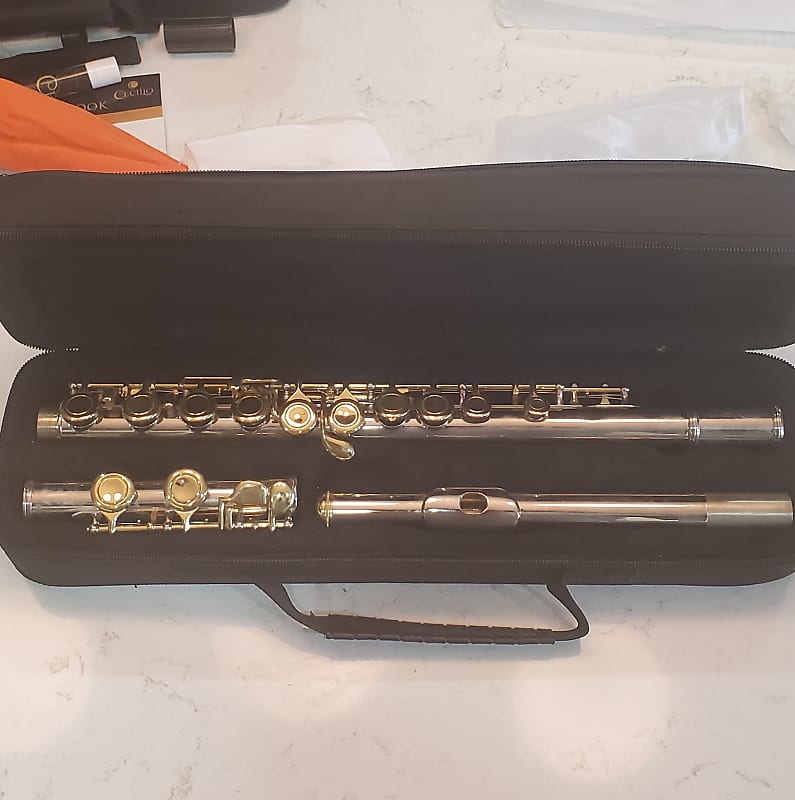 Mendini by Cecilio Flute MINT condition | Reverb