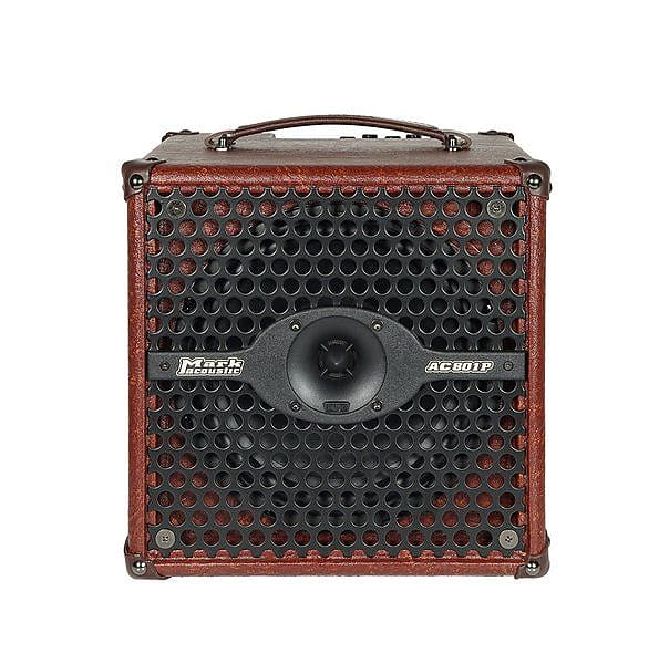 DV Mark 50w Acoustic Combo Amp | Reverb
