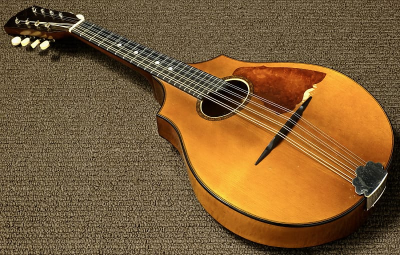 Vintage Vega Cylinder Back Mandolin....1919? | Reverb