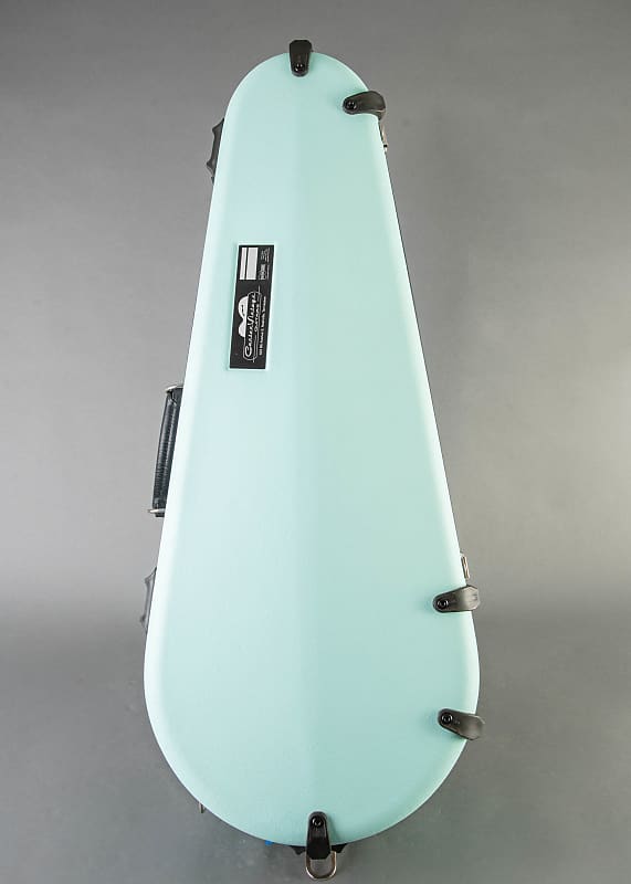 Calton F-Style Mandolin Case Sea Foam Green | Reverb