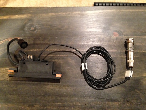 Fishman Rare Earth Blend | Reverb