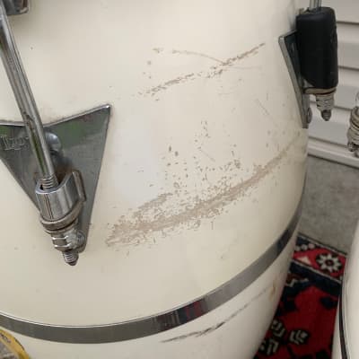 LP Fiberglass Patato Model Quinto, Conga and Tumba Potato | Reverb