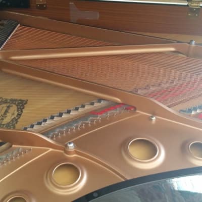 1987 Yamaha C3 conservatory grand piano (Free nationwide | Reverb