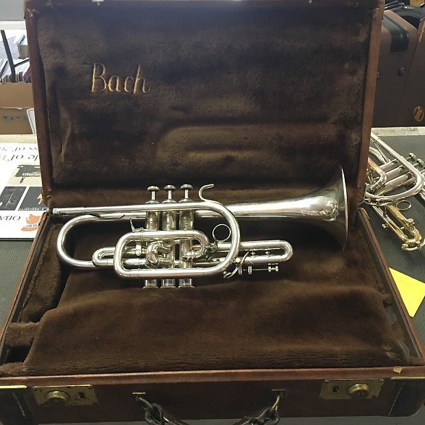 Bach Cornet Model 37 - 1980 in Silver Plate - Free Shipping! | Reverb