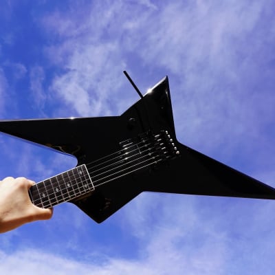 ESP LTD SIGNATURE SERIES SD-2 Sammy Duet Black 6-String | Reverb