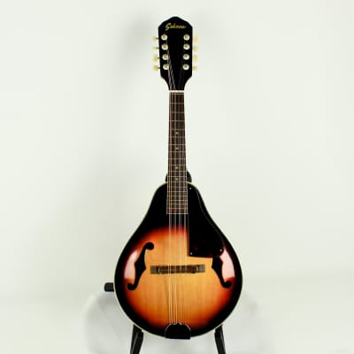Vintage Lindell Mandolin(Electric) | Reverb