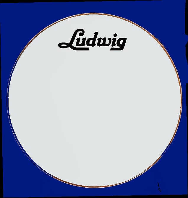 24" Bass Drum Head w/ LUDWIG Vintage Script Logo - Smooth | Reverb