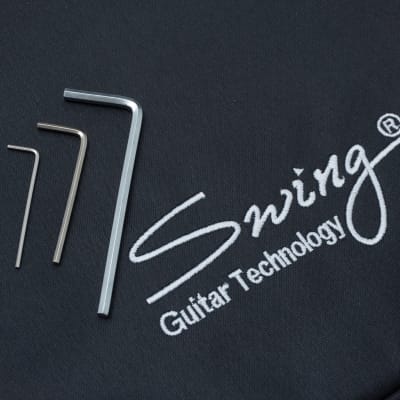 【new】Swing Guitars / Jazz Deluxe 5 White 4.75kg #25080008【GIB | Reverb