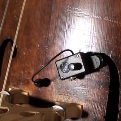 UPRIGHT BASS MICROPHONE with 6" FLEXIBLE MICRO-GOOSE NECK by | Reverb