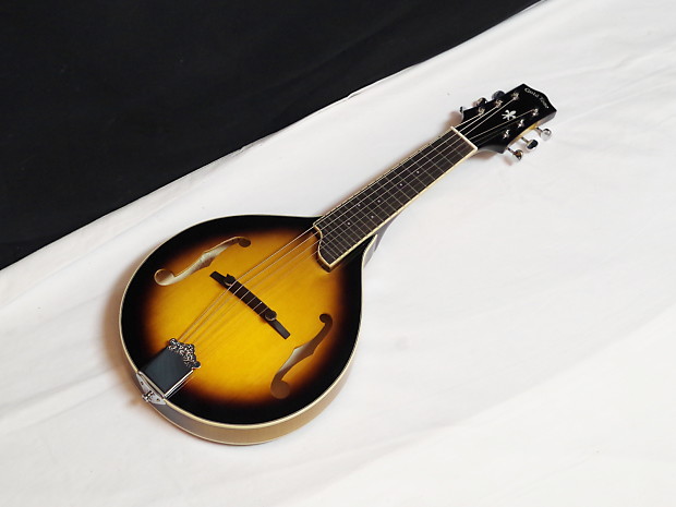 GOLD TONE GM-6 6-string Mandolin style GUITAR new GM6 Solid | Reverb