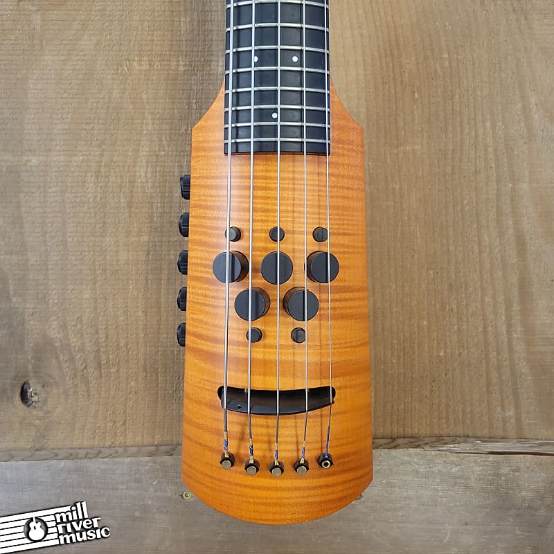 NS Design CR5 Omni Bass Fretted Electric Upright Bass w/ Gig | Reverb