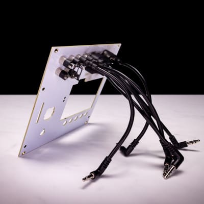 NTS-2 Eurorack Conversion Faceplate Kit for Korg Nu:Tekt | Reverb