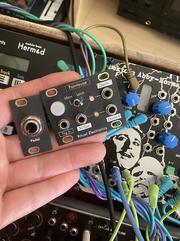 Ritual Electronics Pointeuse | Reverb