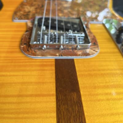 Prince H.S. Anderson Style Custom Prince Telecaster 2009 - | Reverb