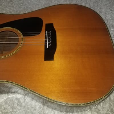 Morris TF-801 | Reverb