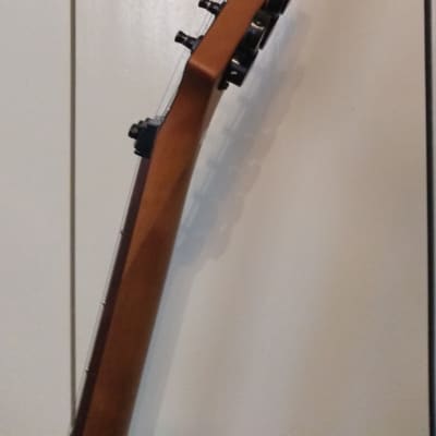 Firefly Bones Shredder Classic with padded Gig Bag | Reverb