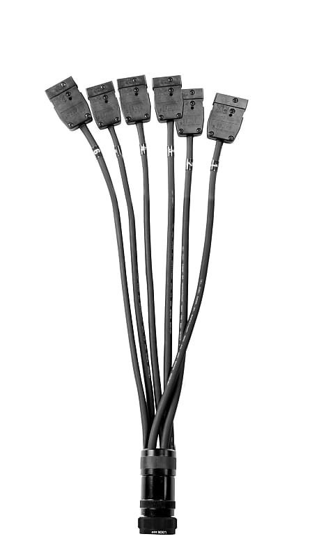 Elite Core SOCAPEX SOCO 19 PIN to 5ft 6 Channel Stage Pin | Reverb