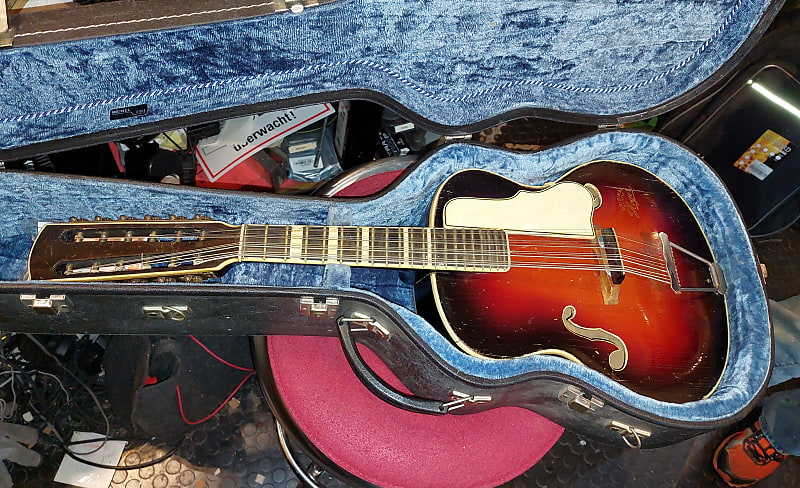 Arnold Hoyer 12-string mandolin=real vintage made in | Reverb
