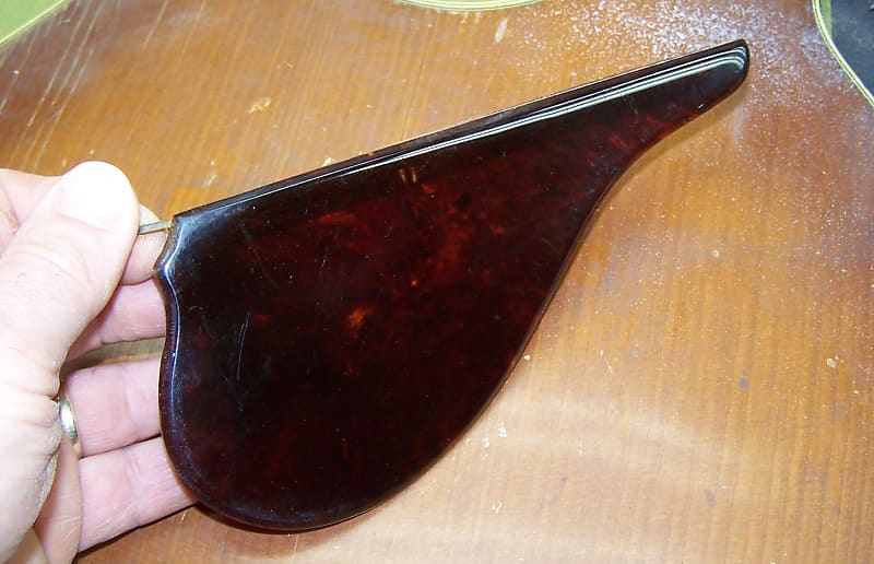 Gibson A style celluloid tortoise mandolin pickguard parts | Reverb
