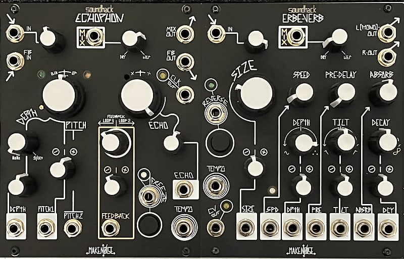 Make Noise Black & Gold Echophon & Erbe-Verb | Reverb