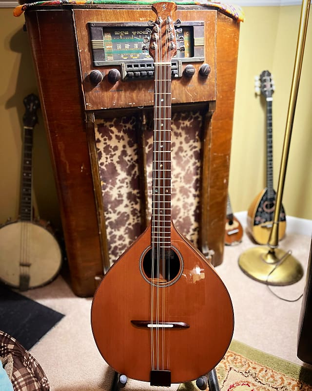 Paddy Burgin Irish Bouzouki | Reverb