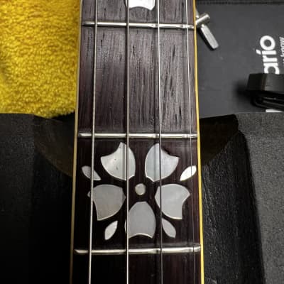 Gibson Mastertone Bella Voce Tenor Banjo 1927 | Reverb