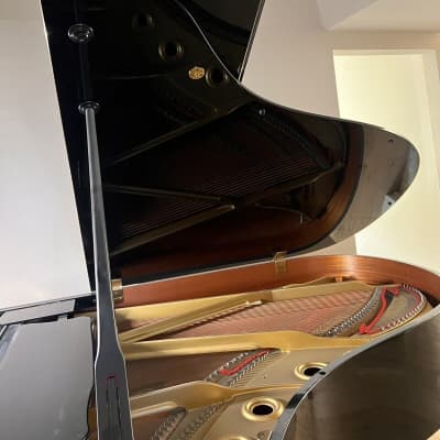 Yamaha C3 Conservatory Grand Piano | Reverb