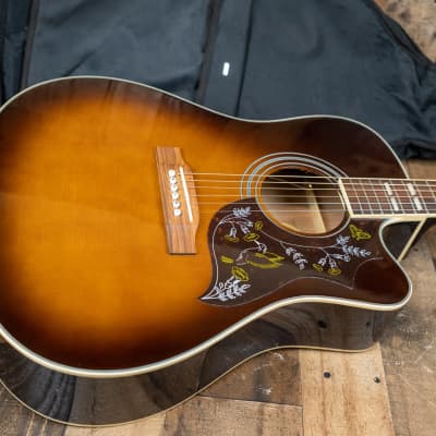 Epiphone Limited Edition Hummingbird Performer Pro / TS | Reverb