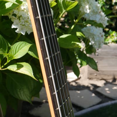 Alembic Orion 5 string | Reverb