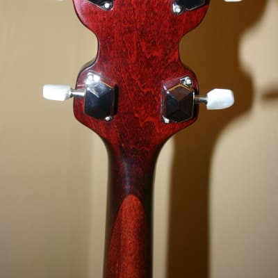 Rogue B30 5-String Banjo | Reverb