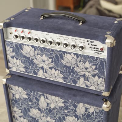 Amplified Nation Steel String Sultan Head and Cabinet 2023 | Reverb